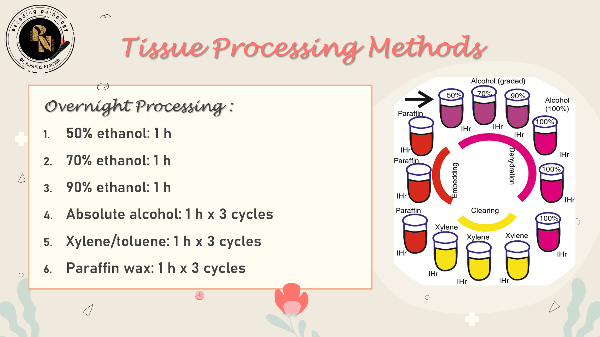 Demystifying Histopathology Techniques: A Step-by-Step Guide for ...
