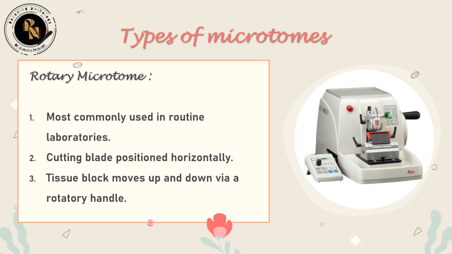 Demystifying Histopathology Techniques: A Step-by-Step Guide for ...